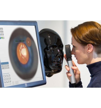 EyeSi Direct - Medical Simulator